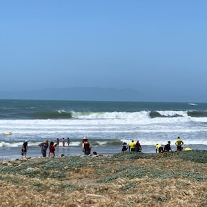 Ocean Blvd Sign, Custom Beach Street Sign, Metal Seashell Boulevard ...