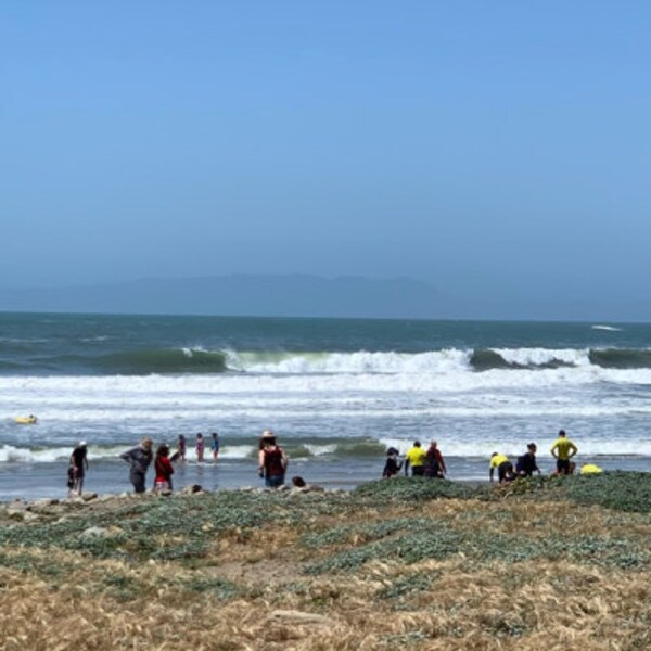 Ocean Blvd Sign, Custom Beach Street Sign, Metal Seashell Boulevard ...