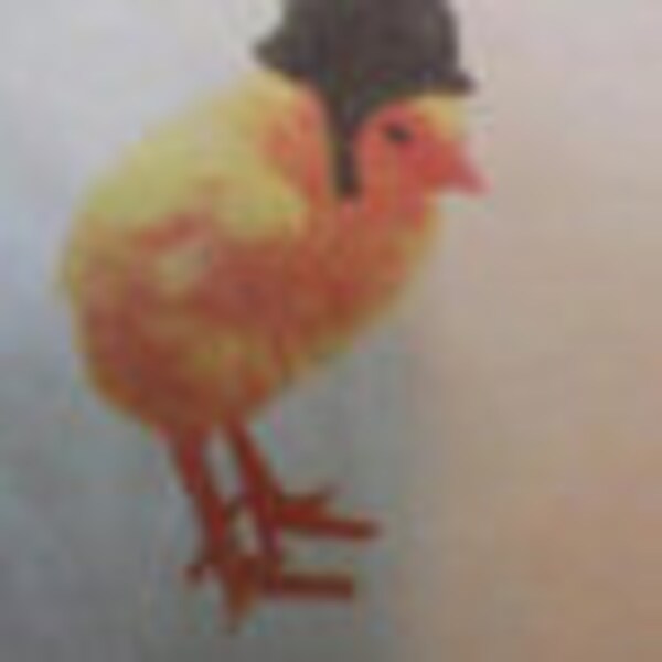 1948 Star Book 57 Tablecloths, Digital Crochet Patterns - Etsy