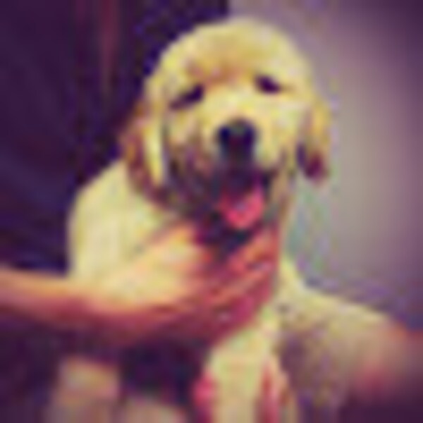 Large Vintage Hollywood Regency Mirror by Deknudt, 1980s Belgium. - Etsy