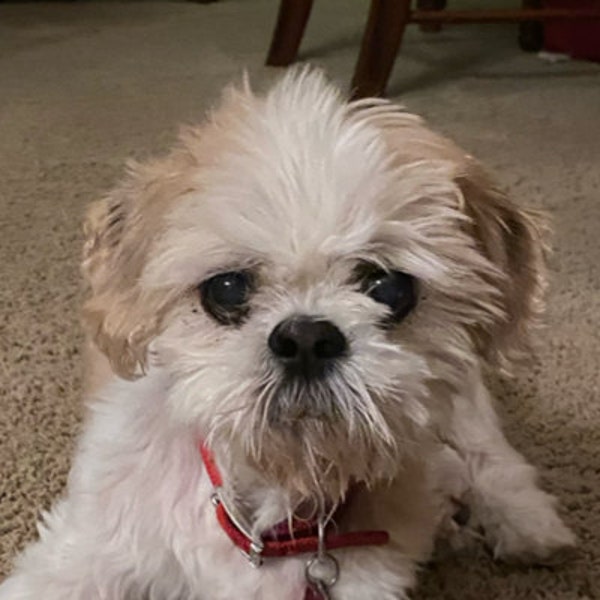 Cousin Gifts, Cousin Gift Box, Cousin Birthday Gift Box for Cousin Gift ...