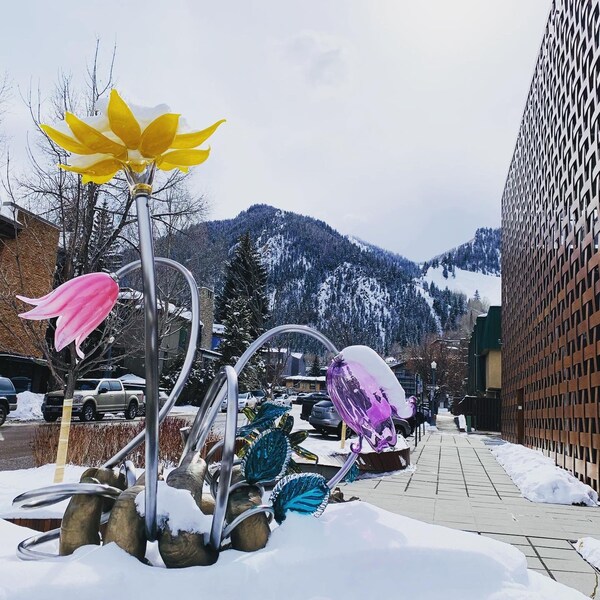 Wild Pears Font Handwritten Script Font, Logo Font, Farmhouse Font ...