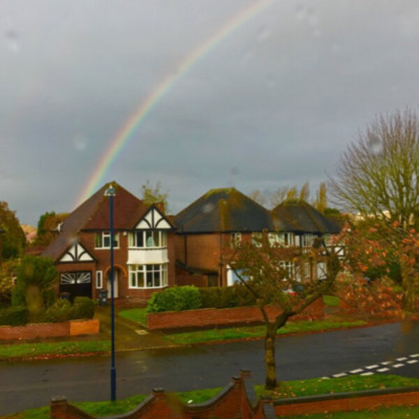 AUSTRALIANA Door Display Flora and Fauna Classroom Decor - Etsy
