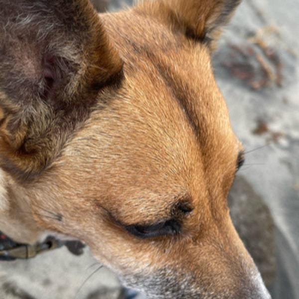 Audio Frequency Spectrum Cheatsheet laminated & Double Sided 6x9 - Etsy