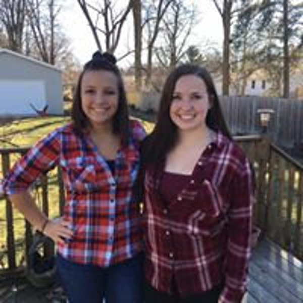 Strawberry Plant Life Cycle Wheel, Strawberry Activity, Strawberry ...