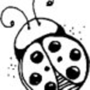 Back to School, First Grade Leopard & Turquoise Clipart, PNG File for ...