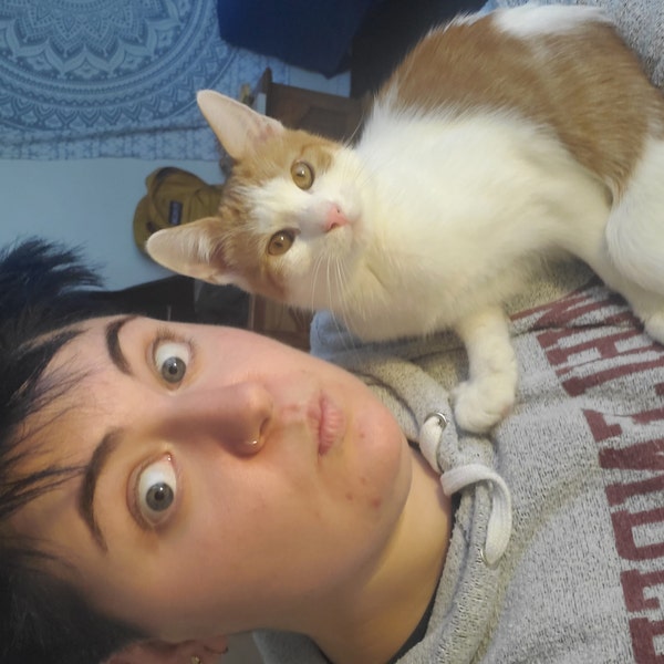 Colorful Beethoven Cross Stitch Pattern Abstract Composer Ludwig Van ...