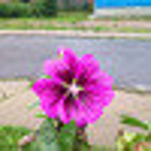 Mr and Mrs Watercolor Car Painting, Wedding Car Poster, Custom Car ...