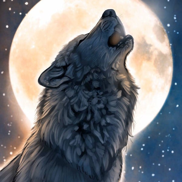 GRAY WOLF HAT Embroidered Men Women Wildlife Baseball Cap Price ...