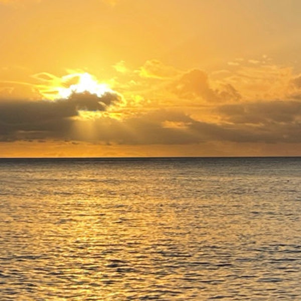 Modern Boho Classroom Decor Bundle Editable Classroom Decor Bundle ...