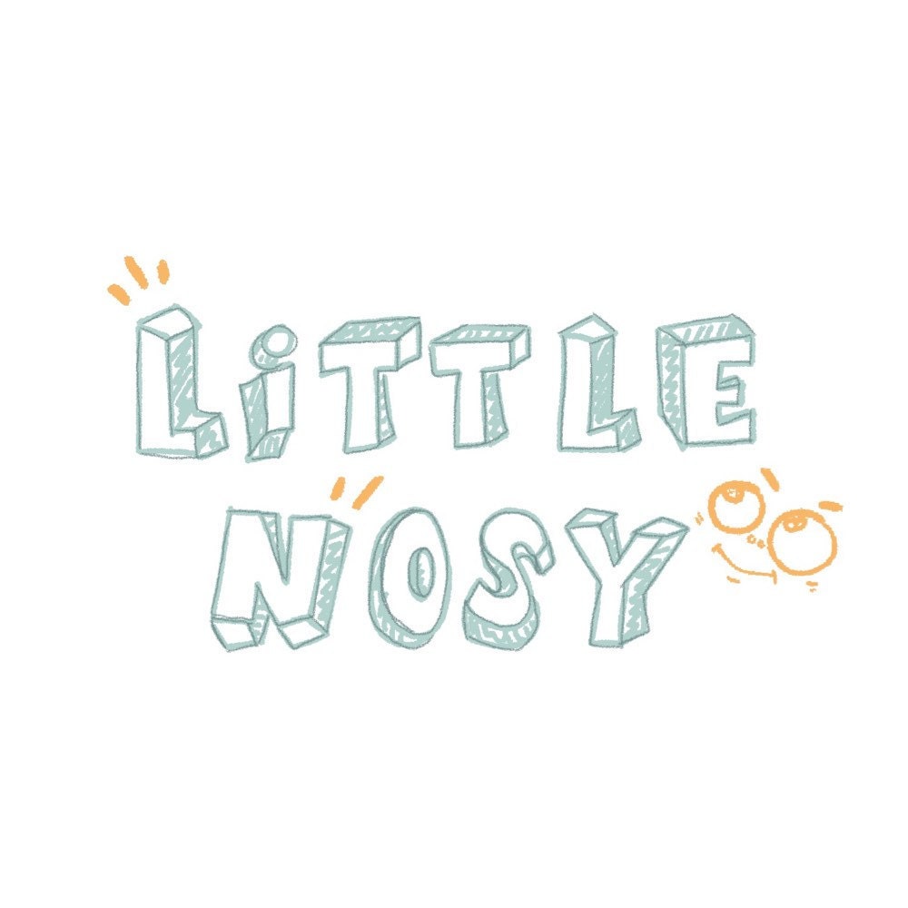 LittleNosy - Etsy