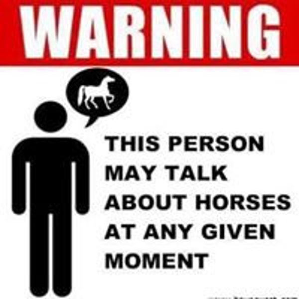 Wooly Board Sweater Blocking Frame DIY Instructions - Etsy