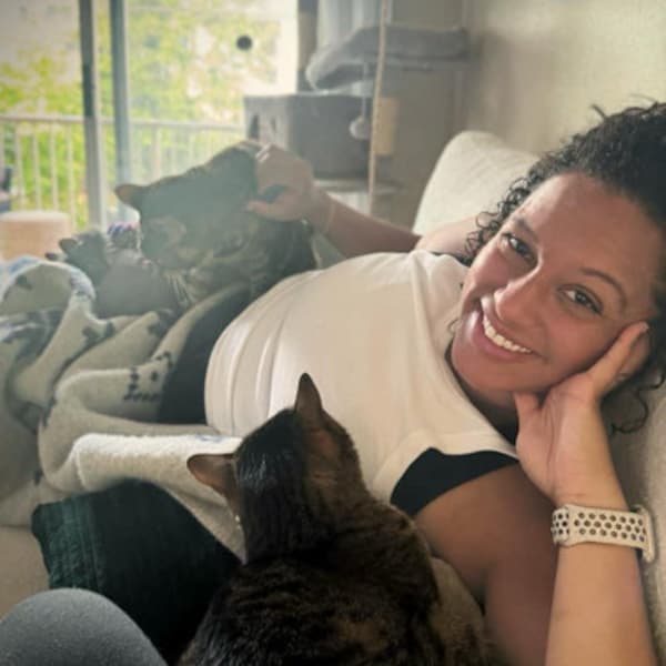 Pebble Cat Watching Birds in a Tree, 8x10 Framed Cat Artwork Made From ...