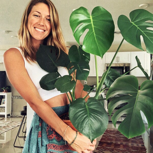 Acrylic Calendar, Horizontal Dry Erase Acrylic Calendar, Small/medium ...