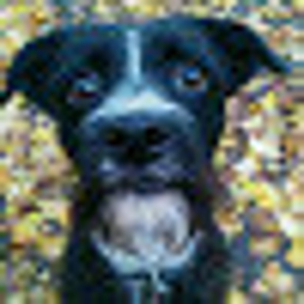 Fairy Wedding Elven Headpiece Forhead Jewelry Tiara Shooting Festival ...