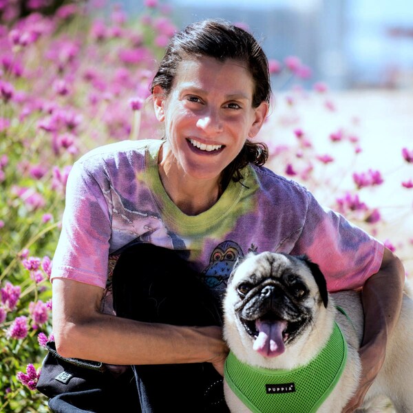 Adventure Buddy Patch for Dogs Iron-on Velcro - Etsy