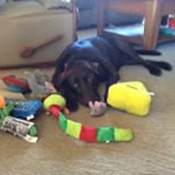 Standing Wood Pilgrim Set/3 Feet Tall/primitive Thanksgiving Decor/made ...