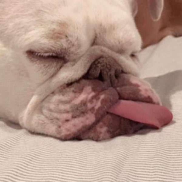 Custom Firehouse Sign Free Personalization - Etsy