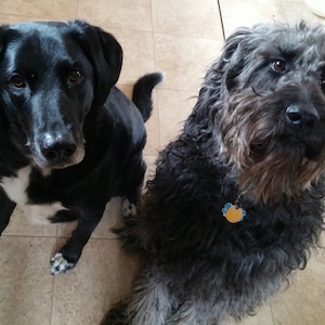 Duets Laser XT Acrylic Matte White/black 2 Ply - Etsy