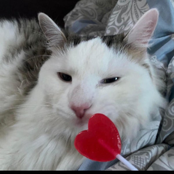 Mituna Captor Sticker Set Homestuck - Etsy