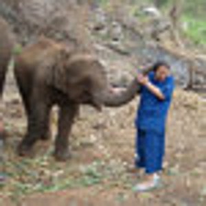 Sylph Spirit Guide Air Elemental Conjuring Remote Binding. - Etsy