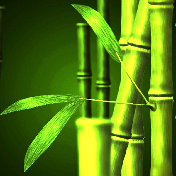 Tea Knife Blank Blade Custom Knife Making Craft Supplies Knife Billet ...