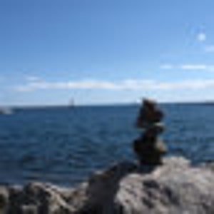 50s Circle Skirt / Rik Rak Red Full Square Poodle Dance Skirt / XS XXS ...