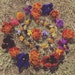 zanasu - Etsy