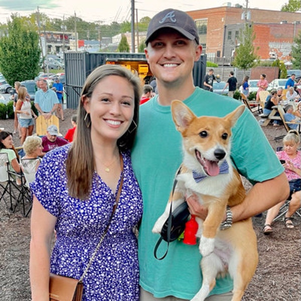 Bark of the Day Whiteboard Clings Classroom Ideas for Dog Lovers ...