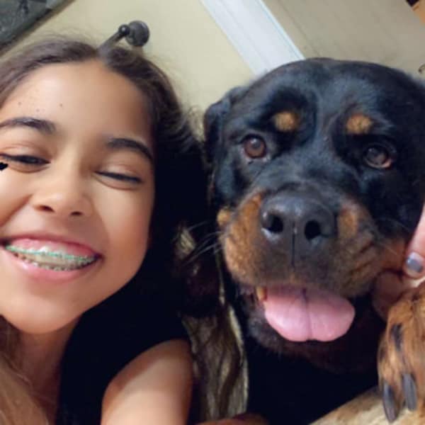 Kiss Vinyl Decal, Lips Vinyl Decal, Kiss Rear Window Decal, Window ...