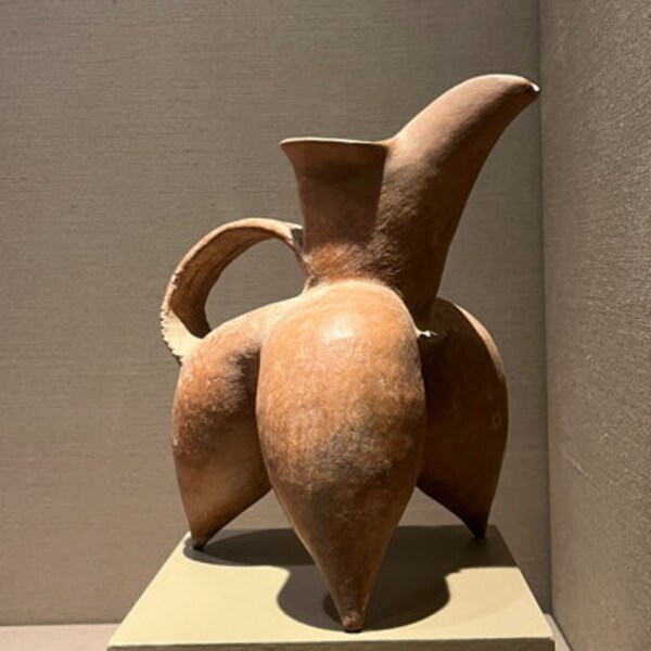 Live Mango Trees Grafted Many Variaties: Pina Colada, Super Alphonso ...