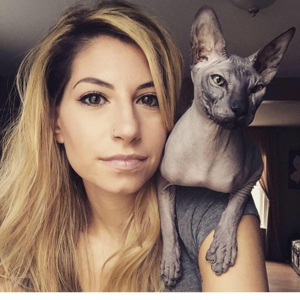 7 Chakras SVG, Chakra Symbols SVG, Namaste Clipart, Yoga SVG, Mandala ...