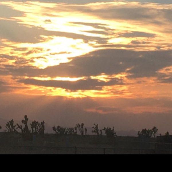 Rock Tumbler Barrel Patch D.I.Y. Repair Kit harbor Freight/ Loretone ...