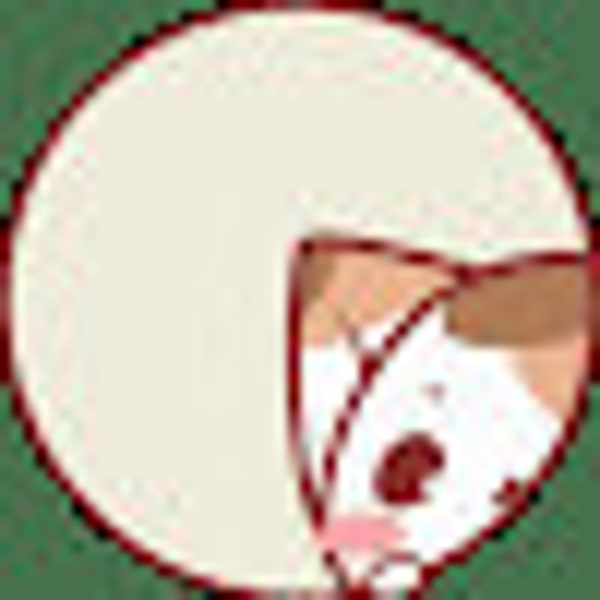 Histotech Tshirt, Histotech Shirt, Histology Shirt, Histotech Gift ...