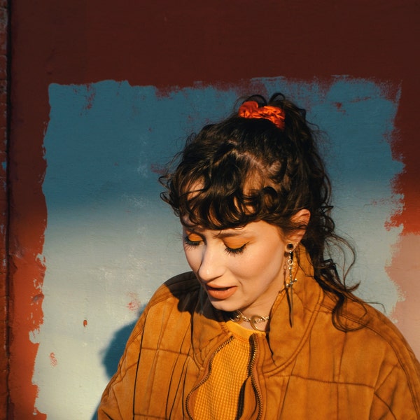 100 RUBBER RABBITBRUSH Chamisa Ericameria Nauseosa Native Desert Shrub ...