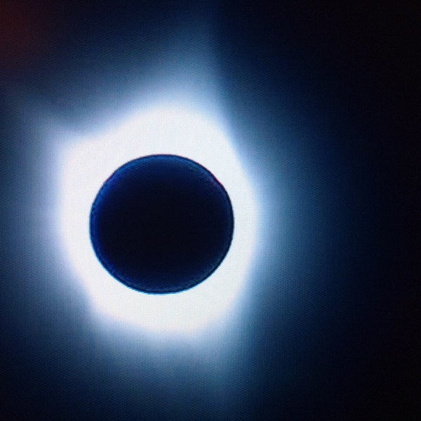 Sword & Shield Clasp - Etsy