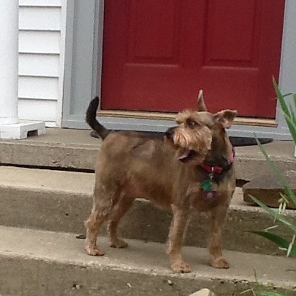 Black & Gold Timeless Bracelet - Etsy