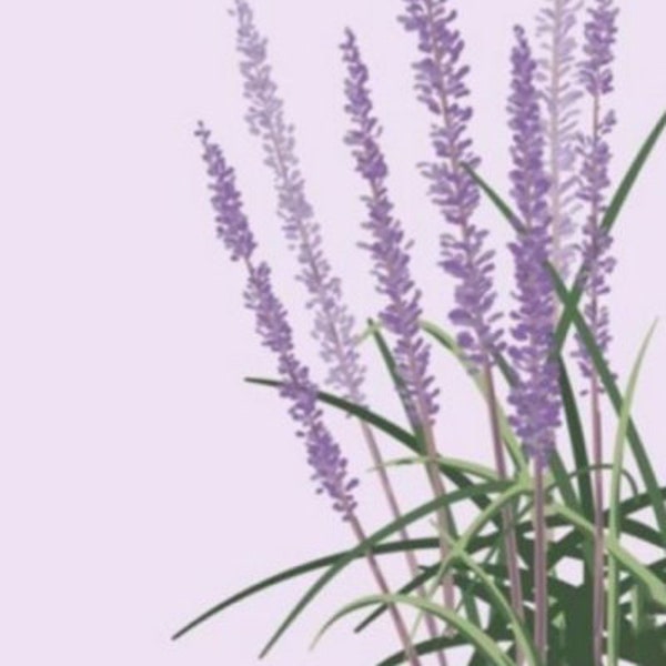 Wooden Key Box Mount Cute and Rustic Decorative Key Cabinet Premium ...