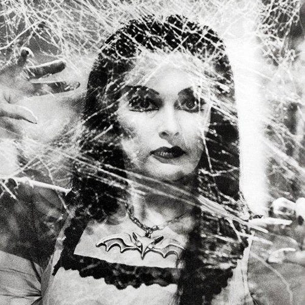 School Mascot Spirit Cap - Etsy