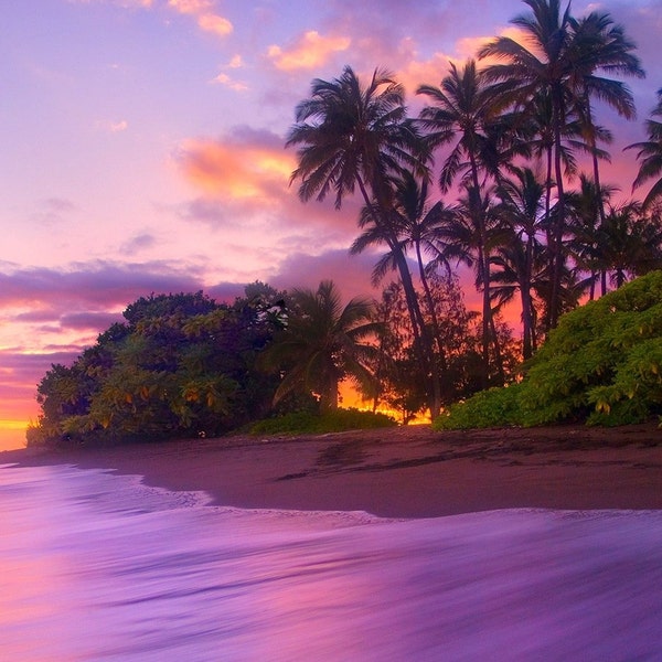 Pastel Aesthetic Pop up Box Window Twitch Panels Purple Moon Sky Stream ...