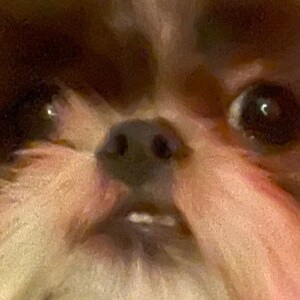 Classic World Map Large Poster Wooden Wall Hanging, Most Detailed up to ...