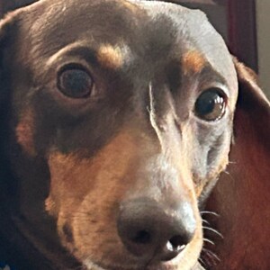 Koi Fish Loom Bead Pattern, Dark Pond Bracelet Pattern, Jewelry Miyuki ...