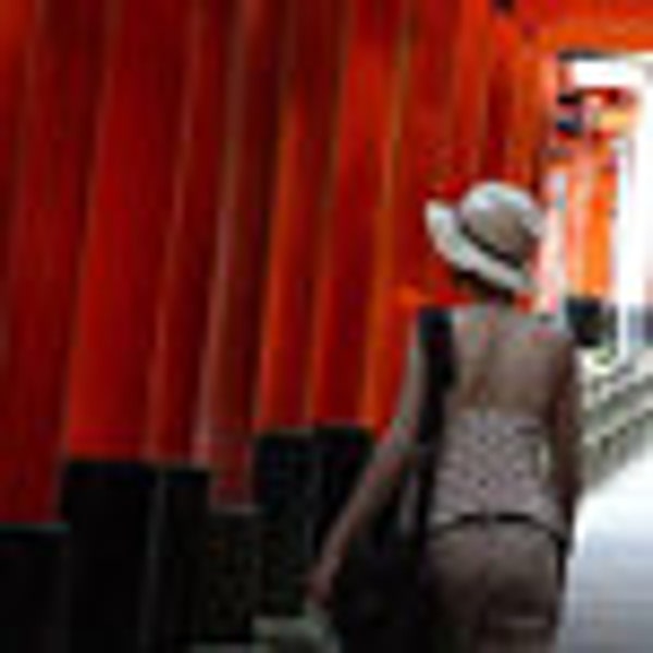 Brontosaurus Dinosaur Stencil Mask Reusable PP Sheet for Arts & Crafts ...