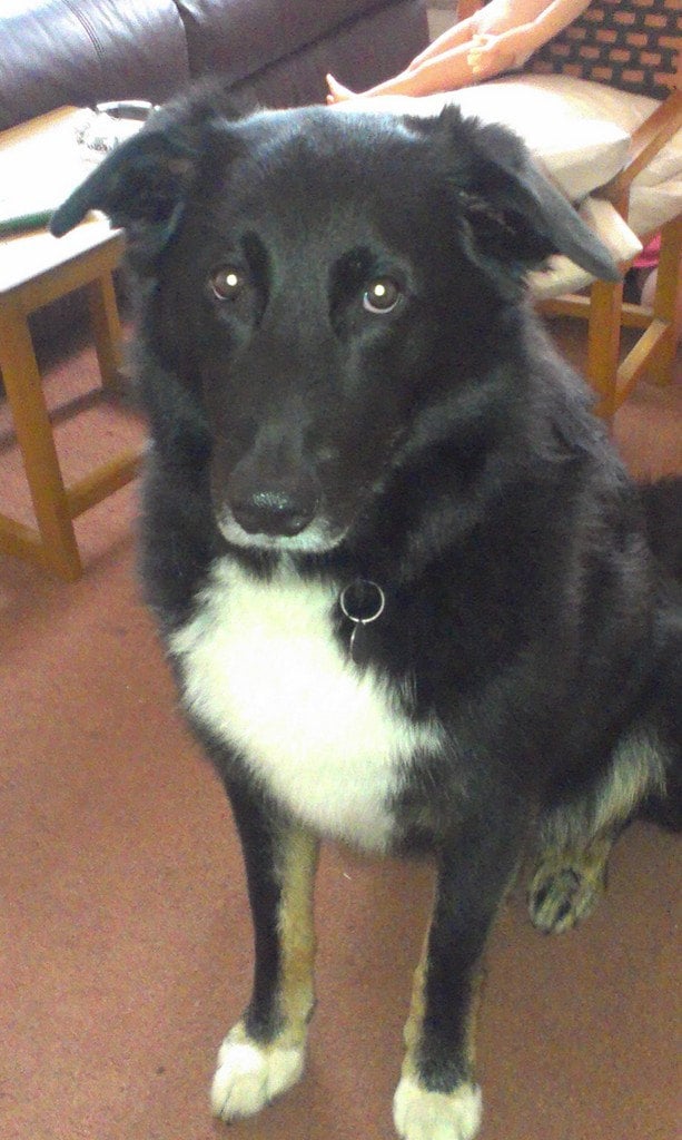 JimsScrollsawArt - Etsy