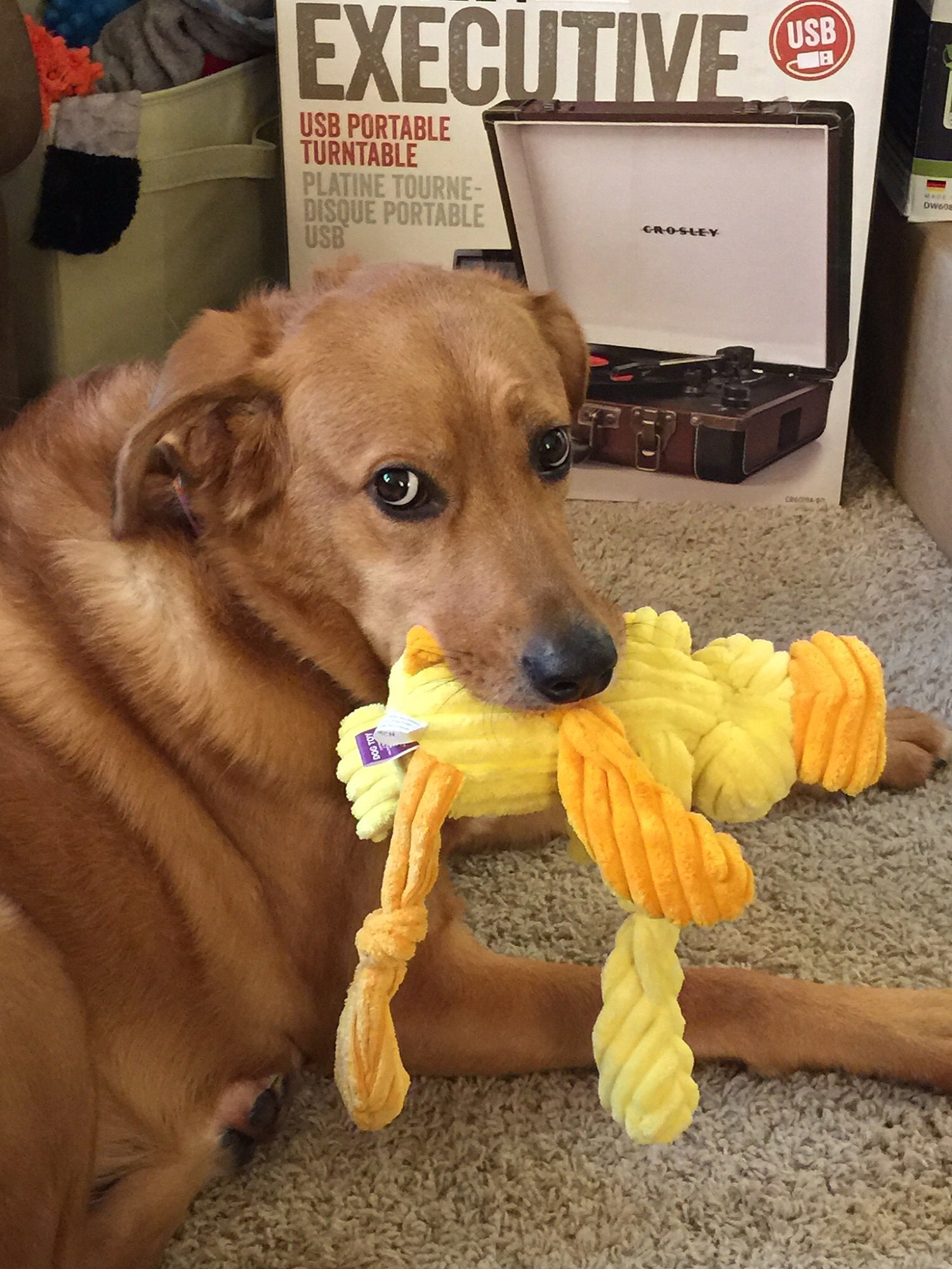 3rdChanceSticks - Etsy