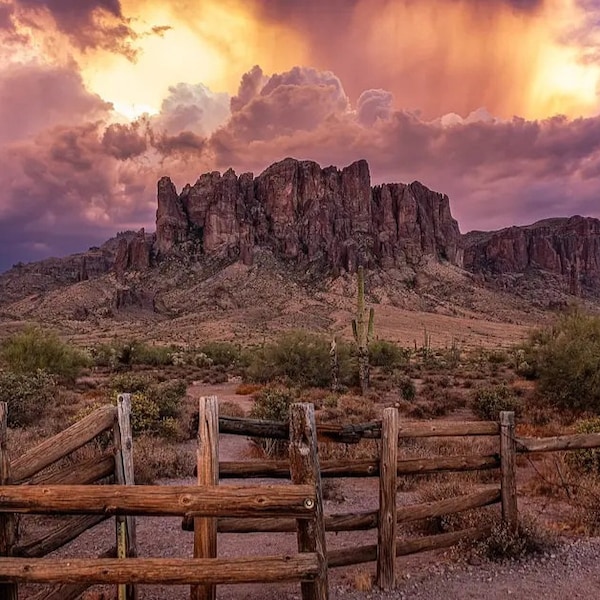 FAMU RATTLERS Sublimation, DTF and More - Etsy