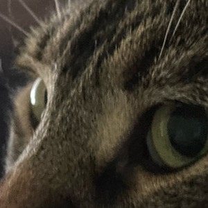 Thor Love and Thunder Loki RIP Tattoo/nine Realms Yggdrasil Screen ...