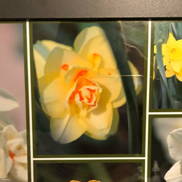 Jdj Luminosity PATTERN AND KIT for Paper Pieced Quilt Pattern by ...