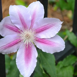 Aesthetic Linkedin Banner Instant Download for Linkedin Background ...