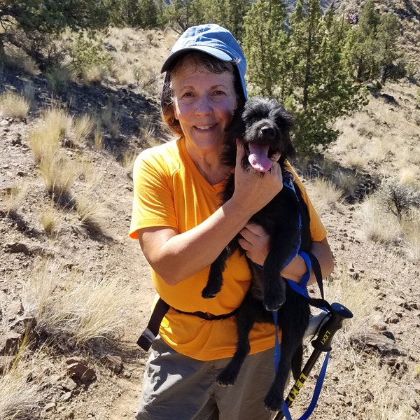 Goldilocks and the 3 Bears 3/24 by Donna Hodges the Bearons of La Jolla ...